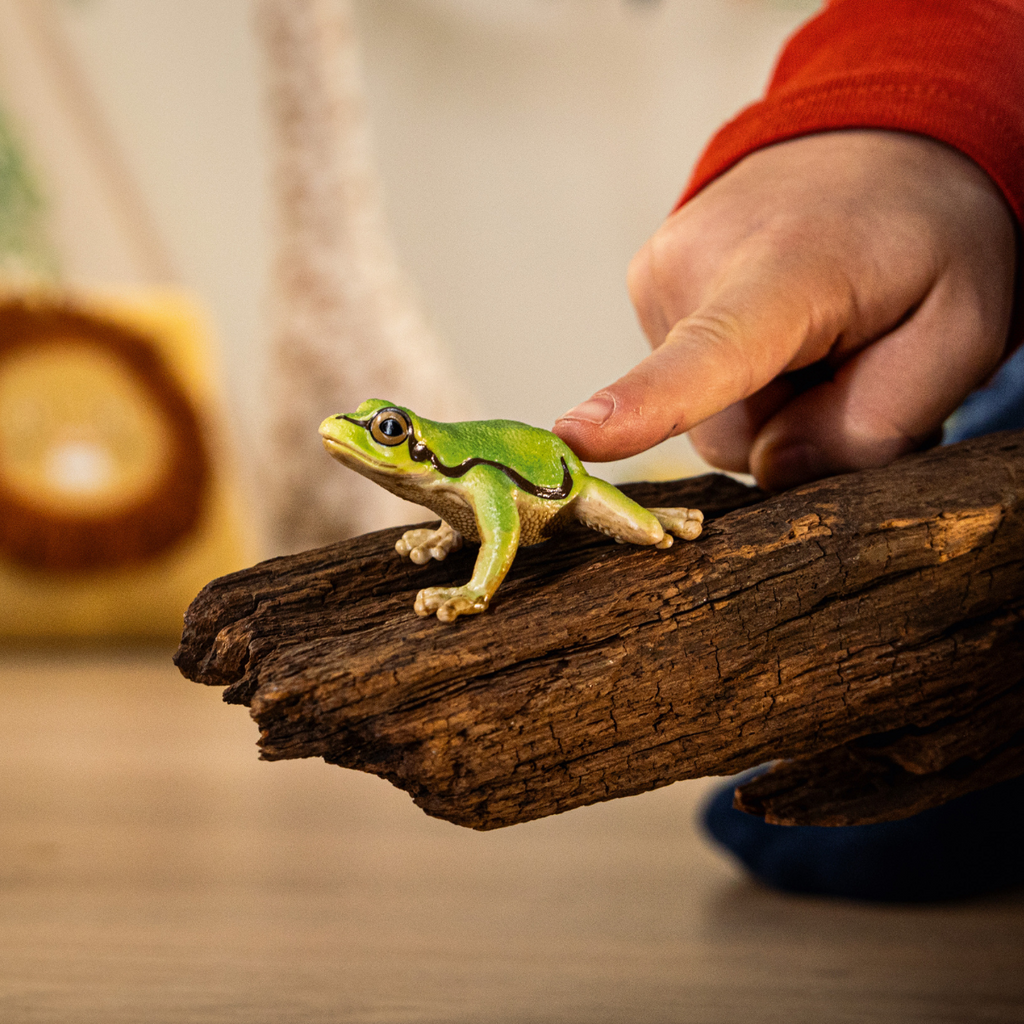 European Tree Frog 14882 | Schleich USA Inc.