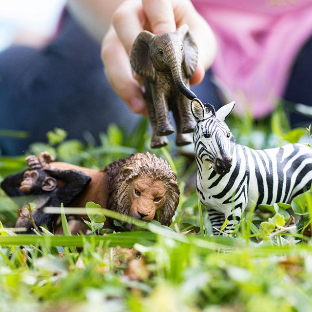 WILD LIFE starter set 42387 WILD LIFE | schleich