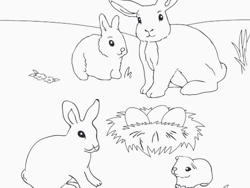 saddle club coloring pages