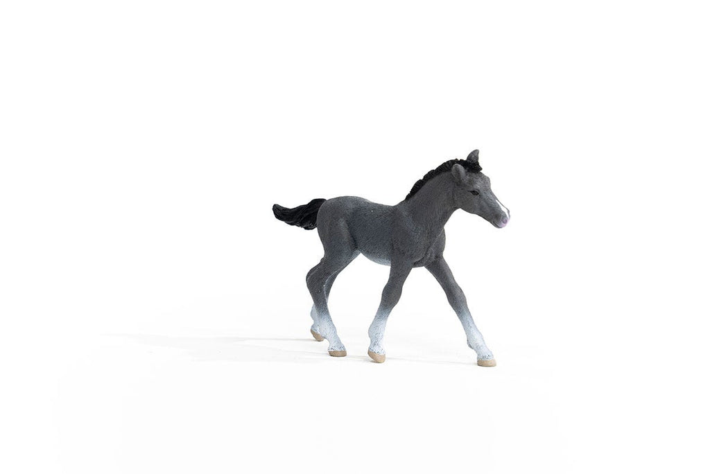 Trakehner Foal 13944 HORSE CLUB | schleich