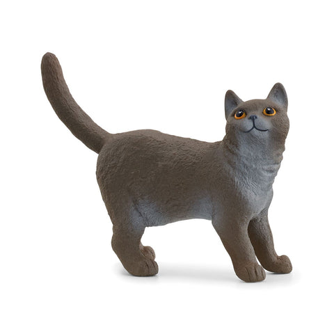 British Shorthair Cat 13973 | Schleich USA Inc.