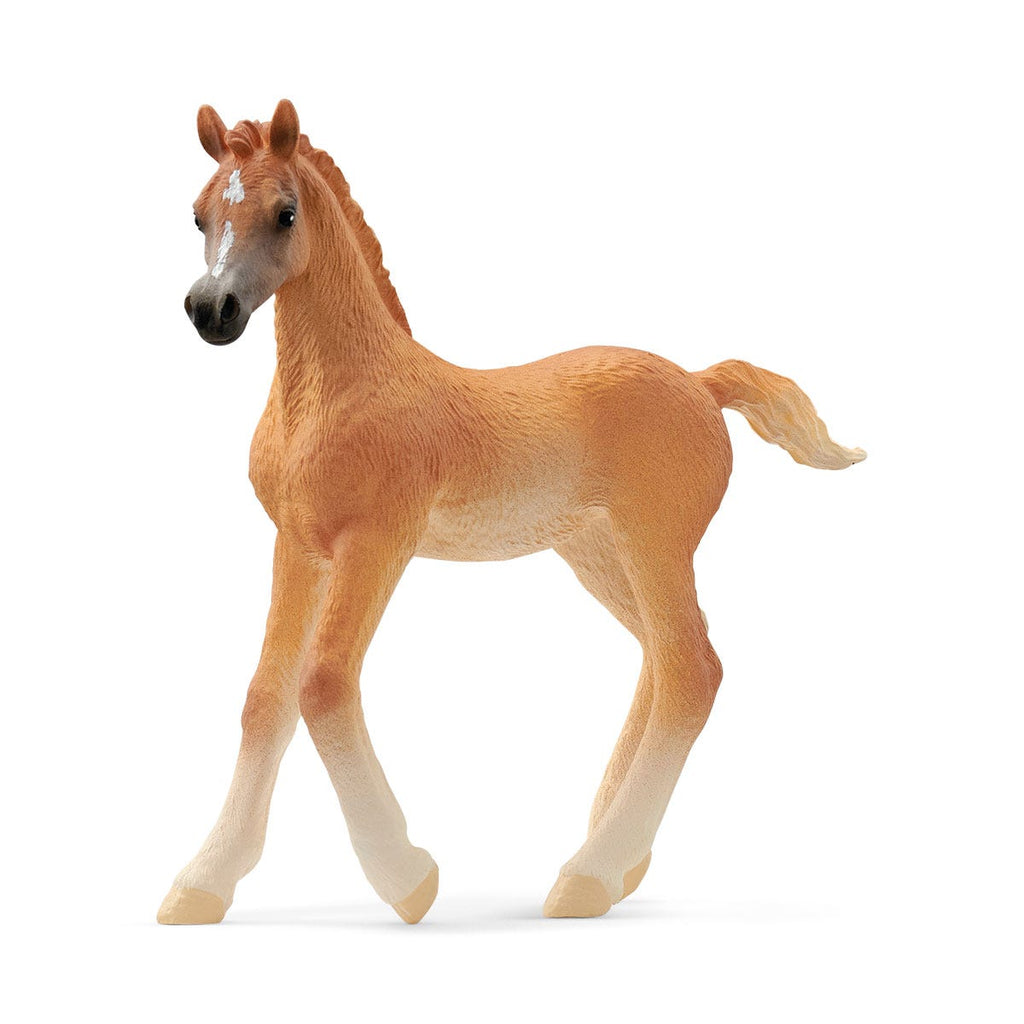 Arabian Foal 13984 HORSE CLUB | schleich